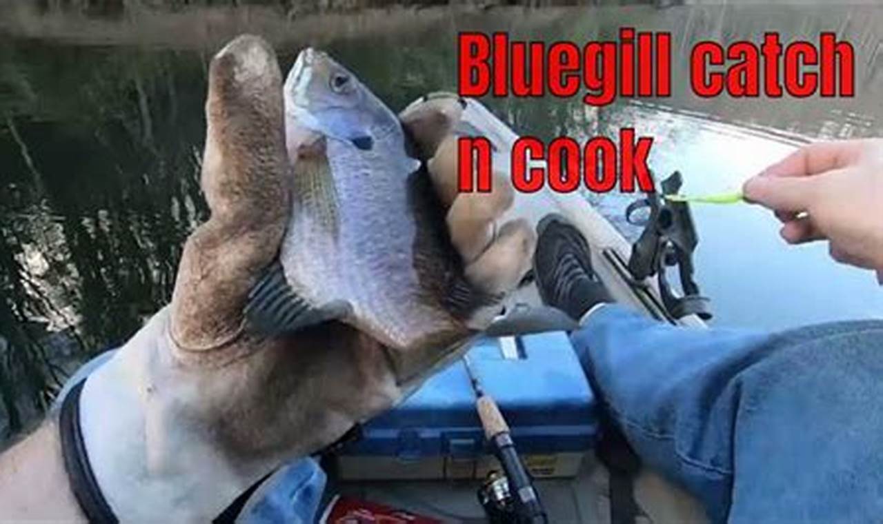 Kayak Bluegill Fishing: Tips & Techniques