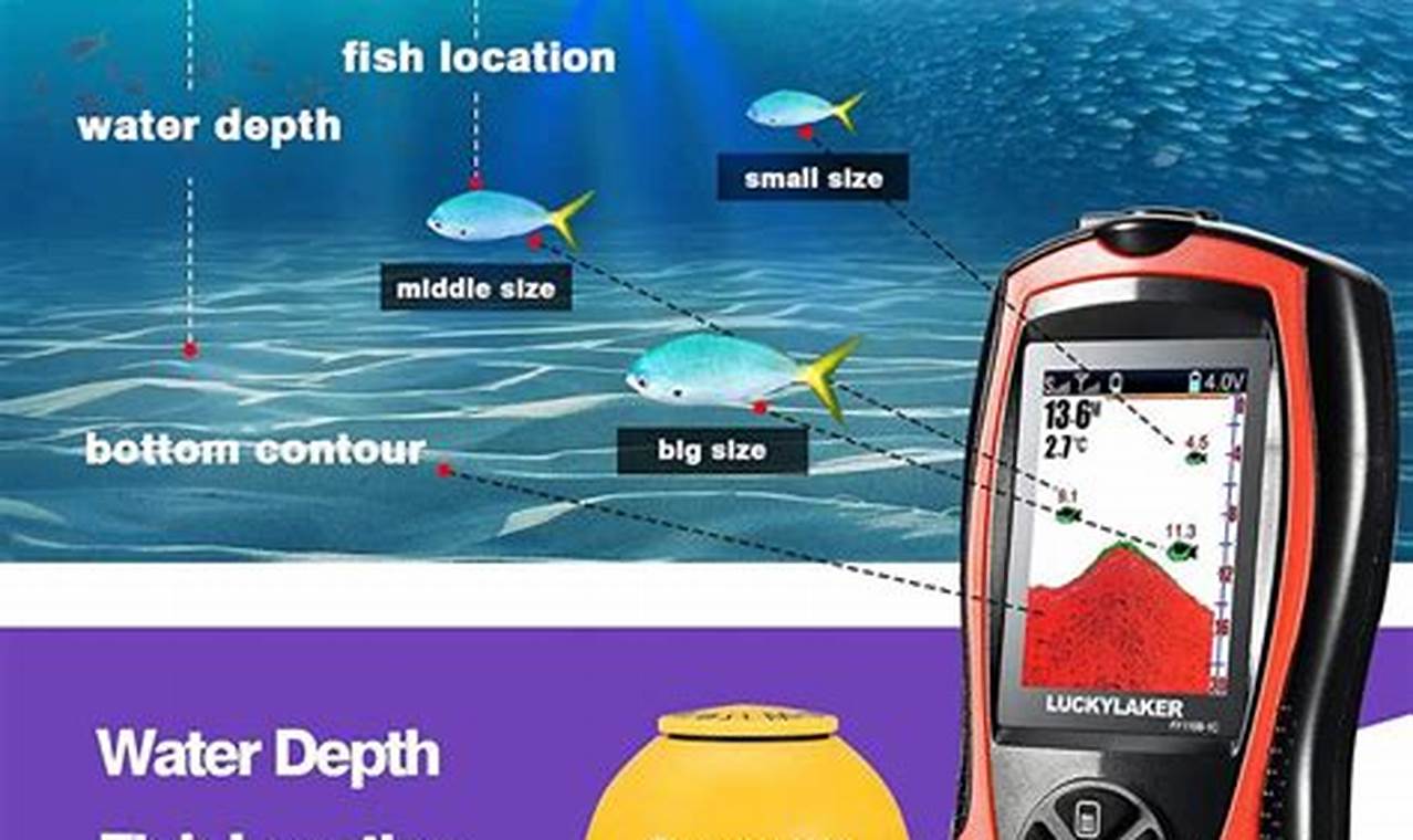 Best Sonar for Kayak Fishing: Top Picks & Guide