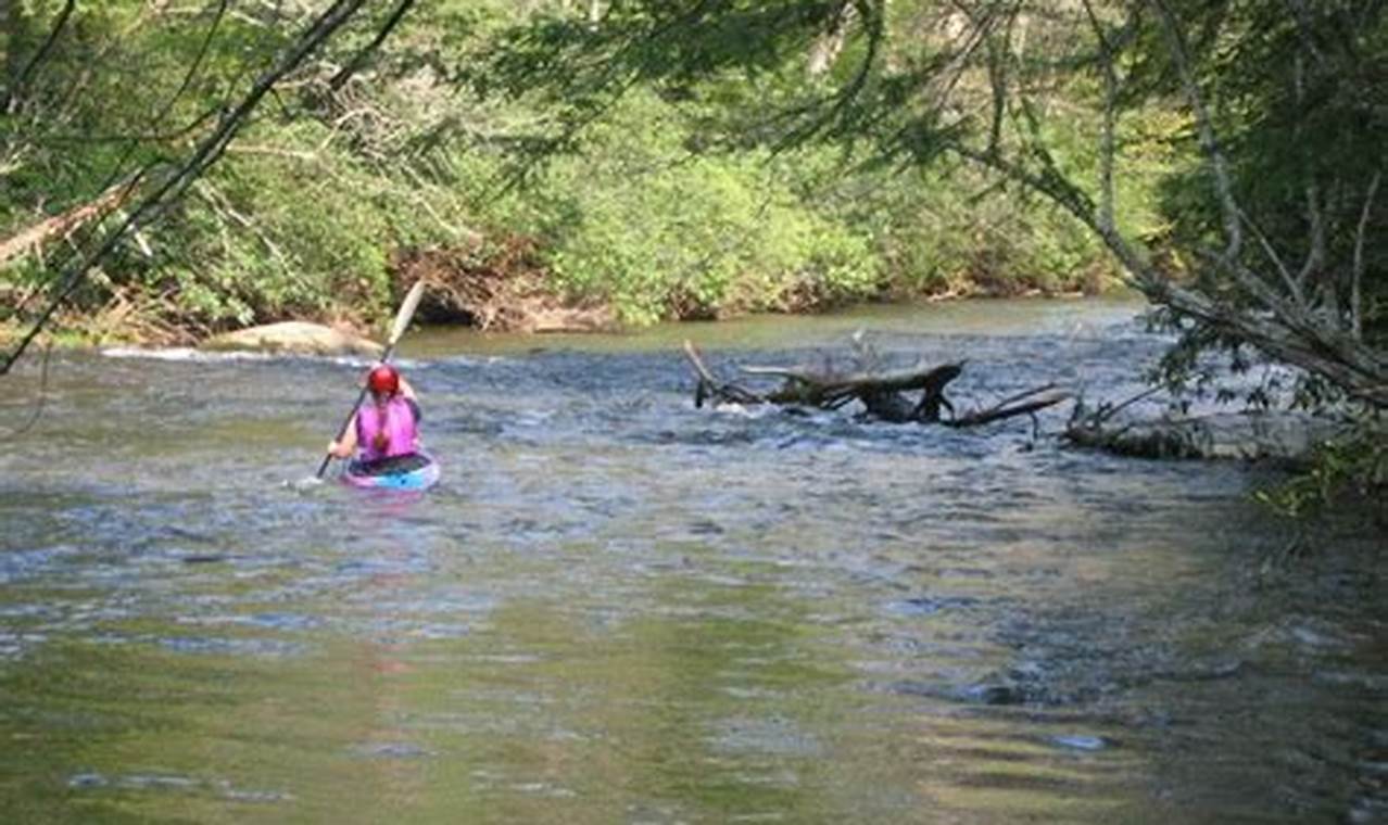 Best Blue Ridge Kayak Fishing Spots & Tips