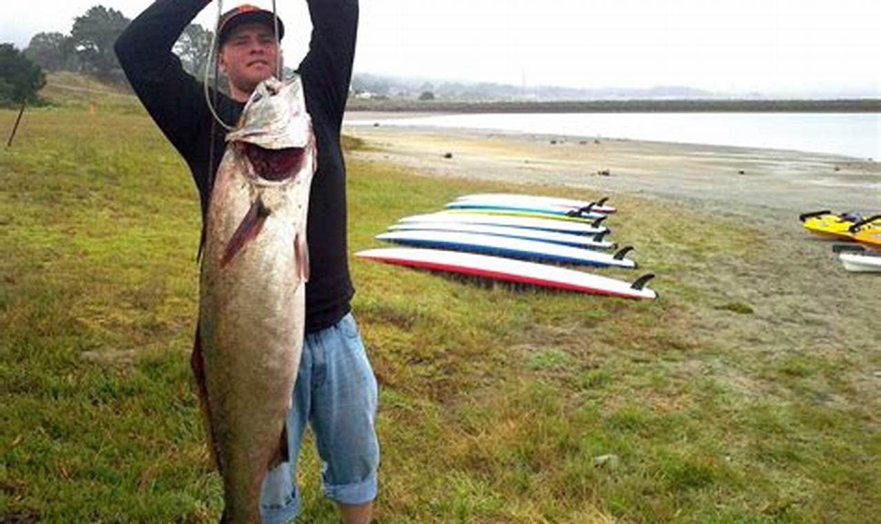Ultimate Half Moon Bay Kayak Fishing Guide